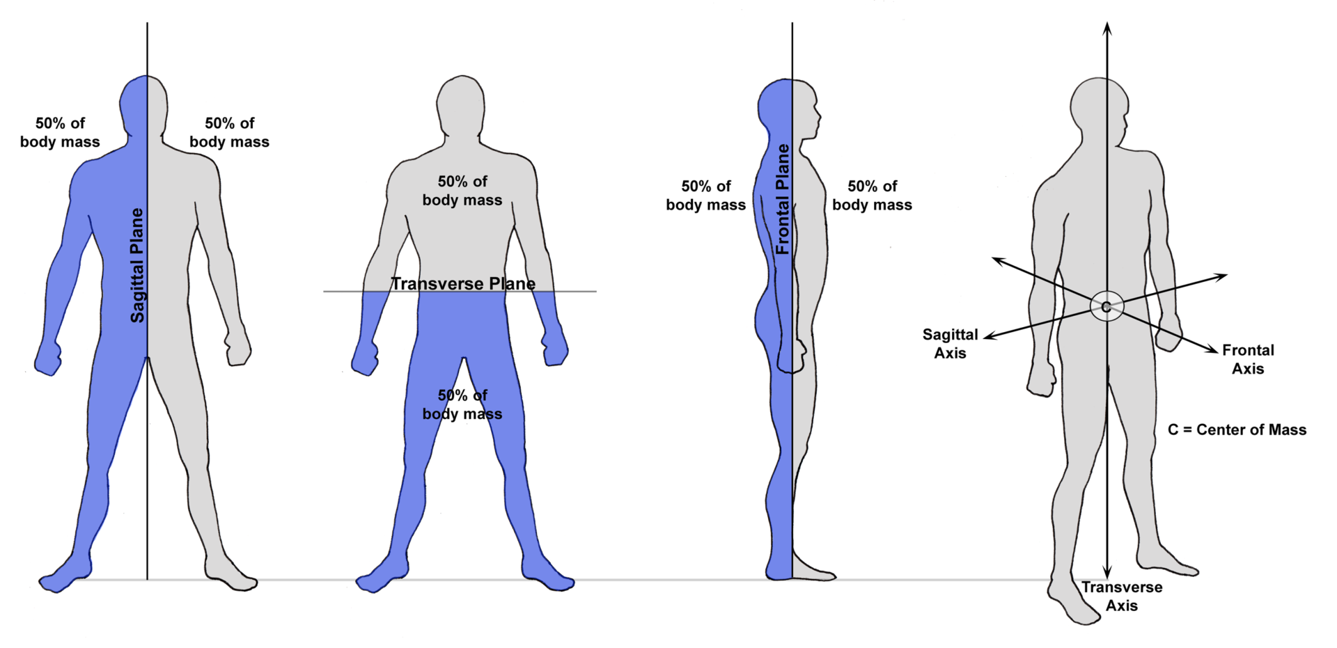 CrossFit Planes Of Motion Body CrossFit Planes Of Motion Body