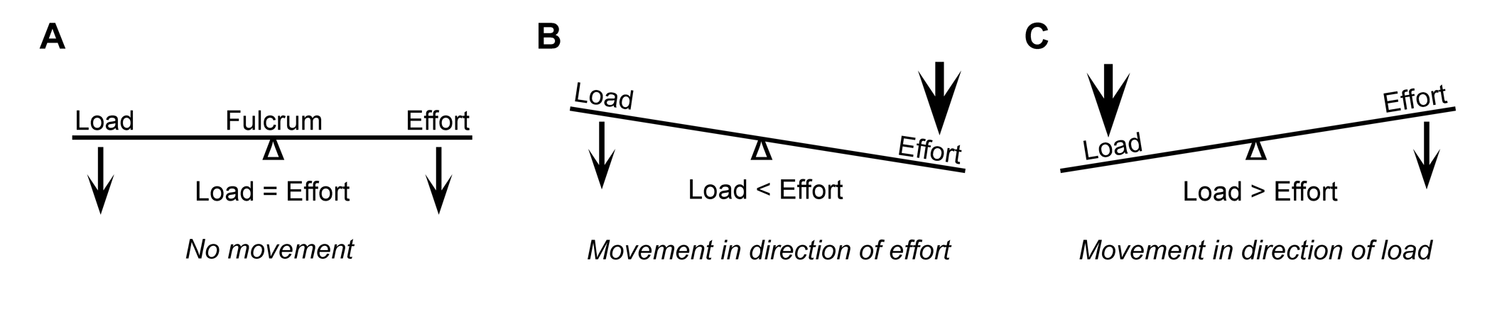 CrossFit | Levers Article 1