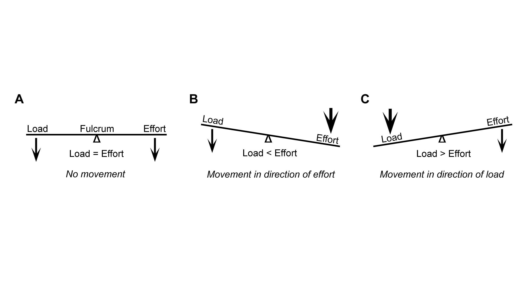 CrossFit | Levers Article 1