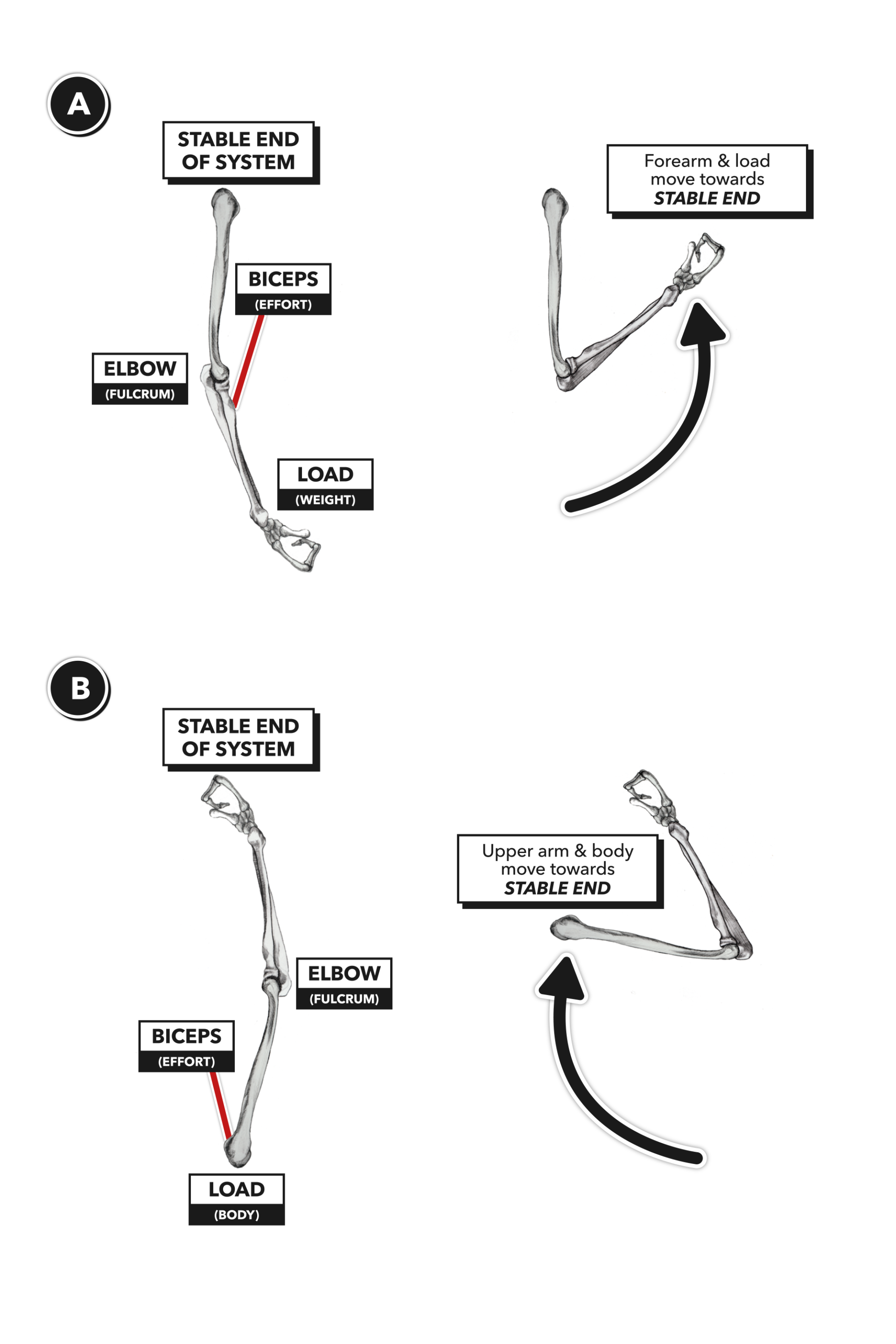 CrossFit | Anatomy of Levers, Part 7: Lever Changes