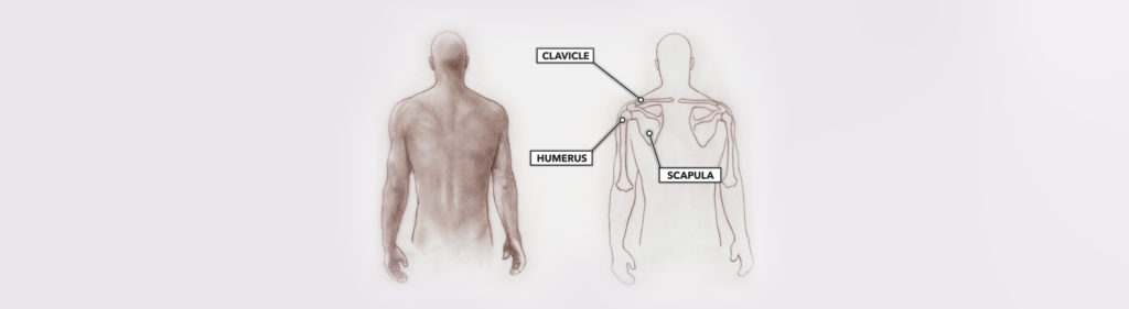 CrossFit | Movement About Joints, Part 1: The Shoulder
