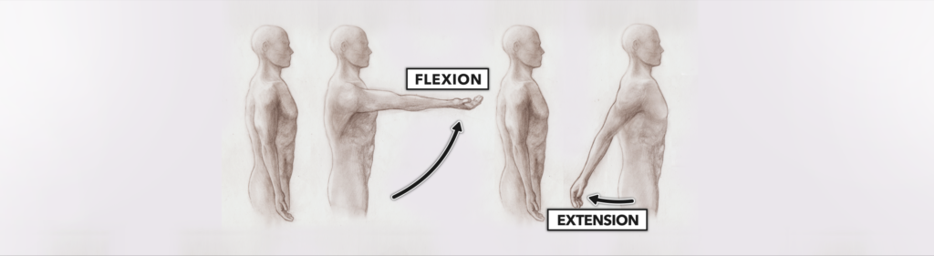 CrossFit | Movement About Joints, Part 1: The Shoulder