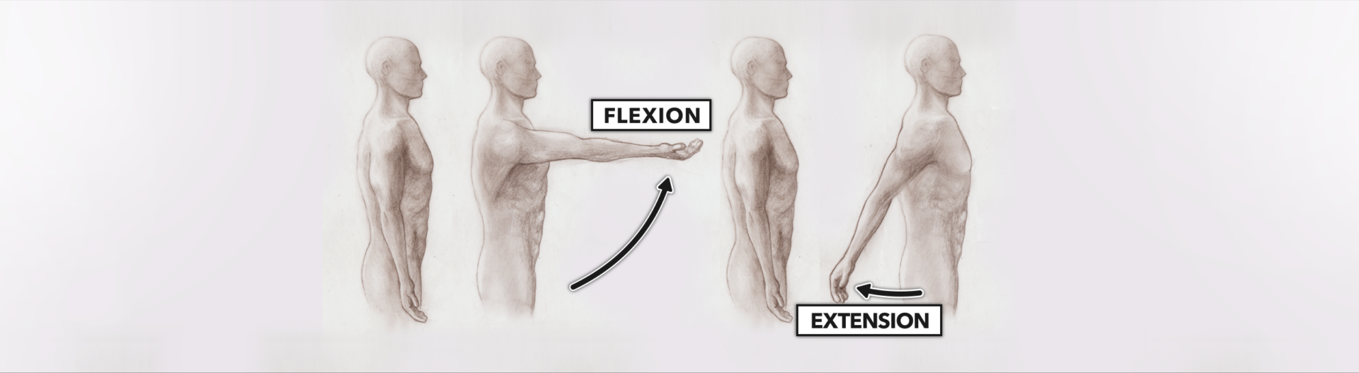 CrossFit | Movement About Joints, Part 1: The Shoulder