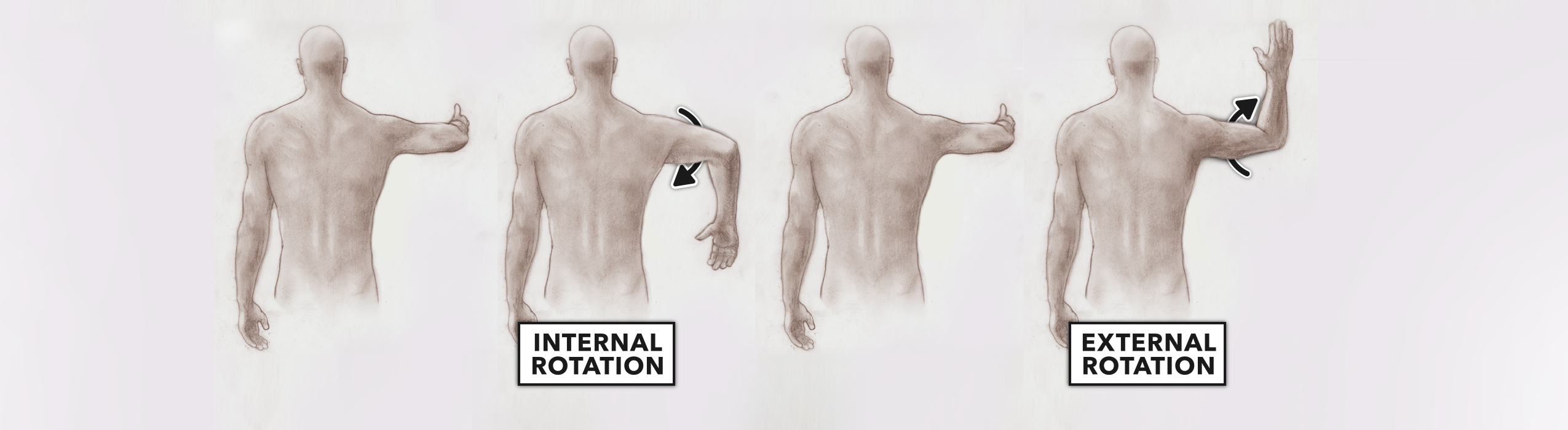 Shoulder Internal Rotation Manual Muscle Test Shoulder Internal Rotation Manual Muscle Test