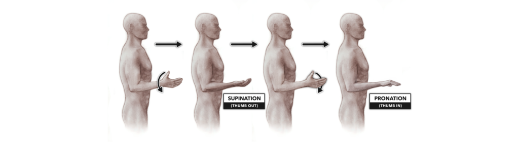 CrossFit | Movement About Joints, Part 2: The Elbow