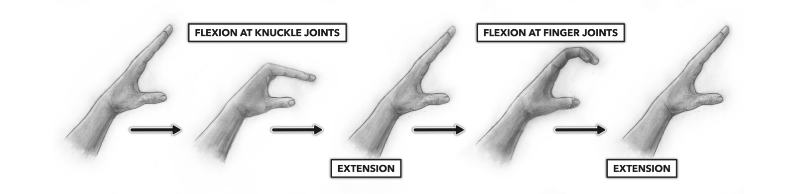 CrossFit | Movement About Joints, Part 4: The Hand and Fingers