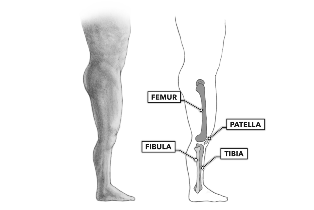 CrossFit | Movement About Joints, Part 6: The Knee
