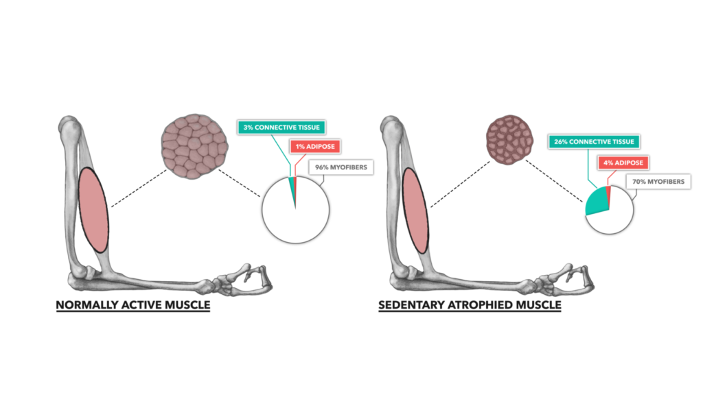 CrossFit | CrossFit.com - 190920