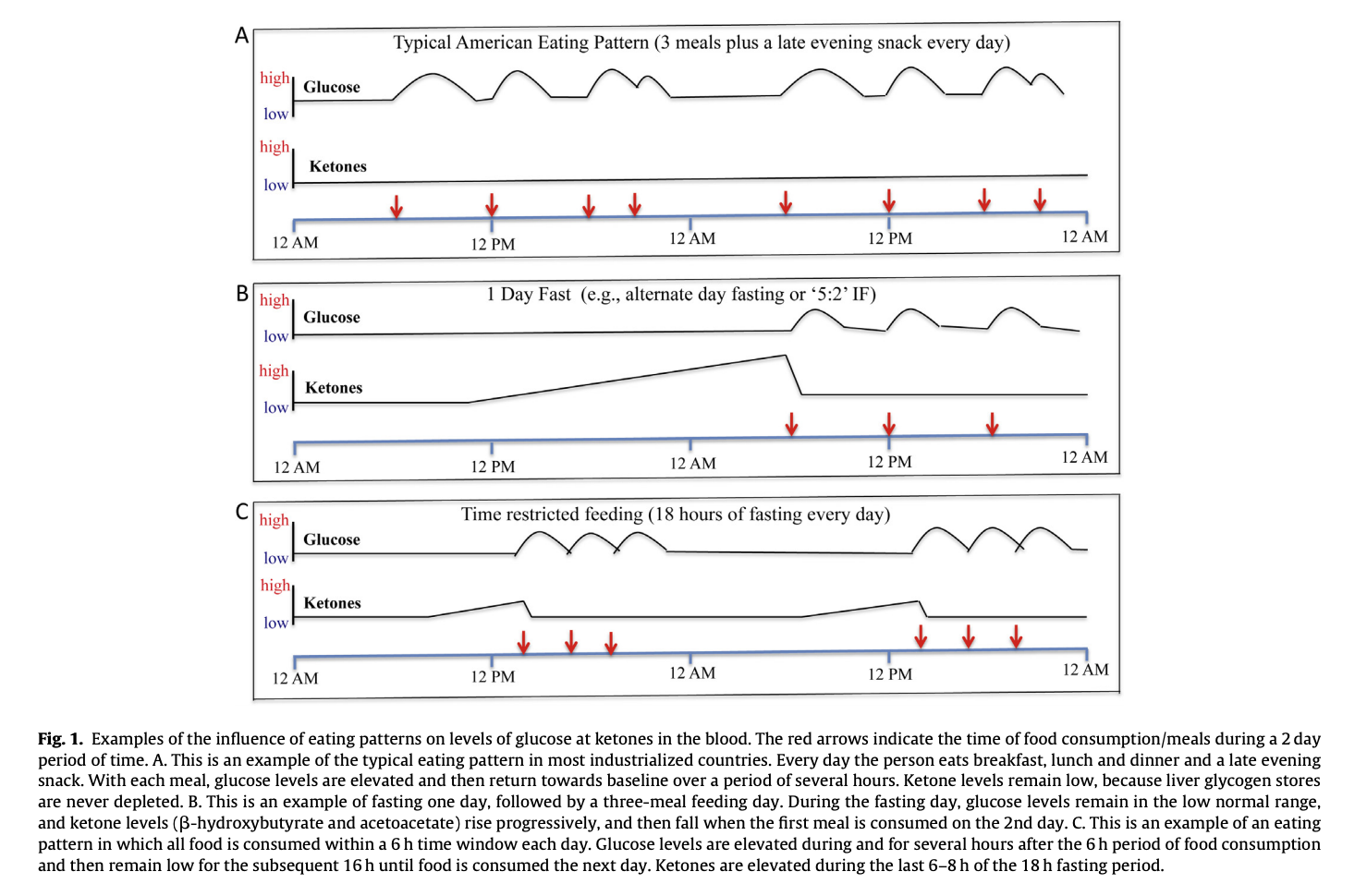 CrossFit | Impact of Intermittent Fasting on Health and Disease Processes