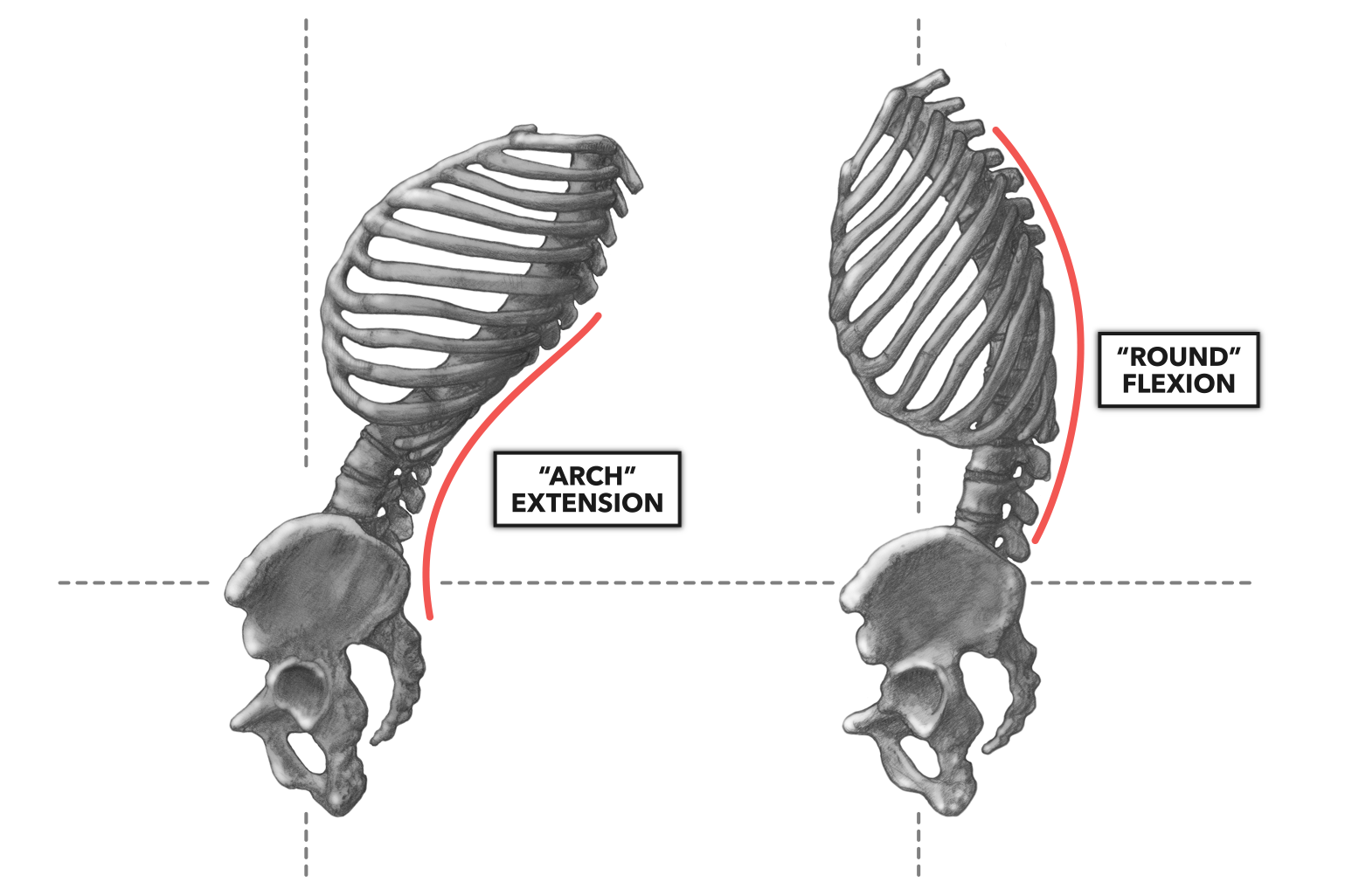 CrossFit | Vertebral Arching and Rounding