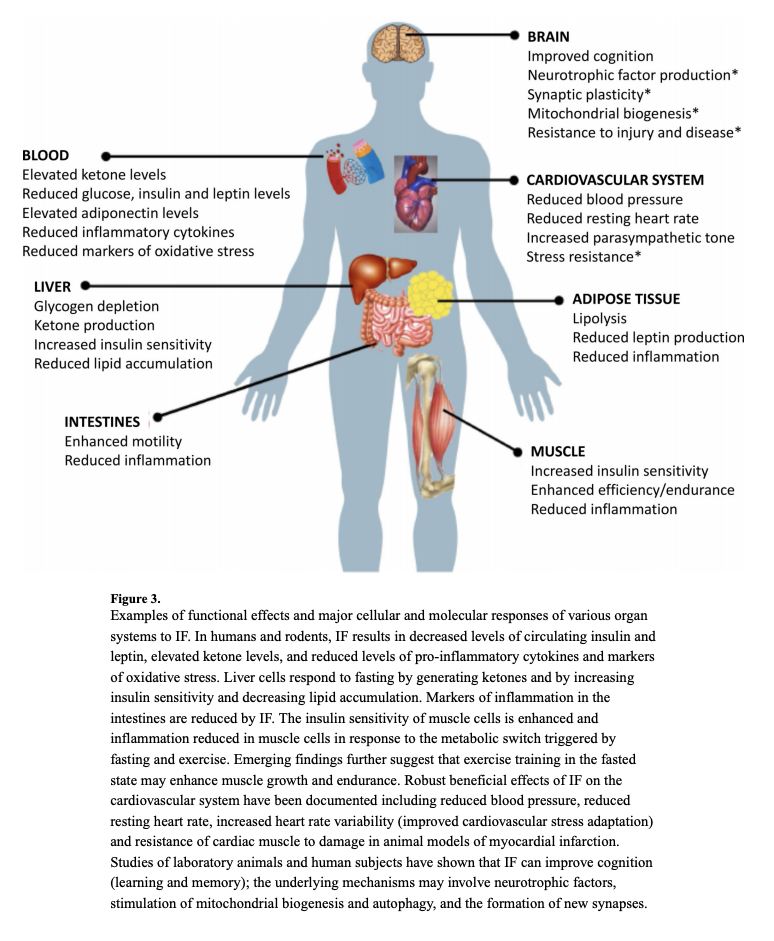 CrossFit | Flipping the Metabolic Switch | Fasting & Health | CrossFit