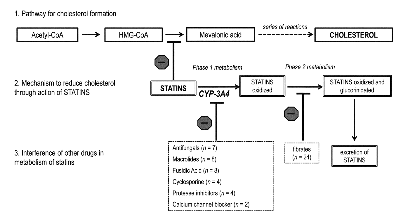 CrossFit | Statin-Induced Rhabdomyolysis: A Comprehensive Review of ...