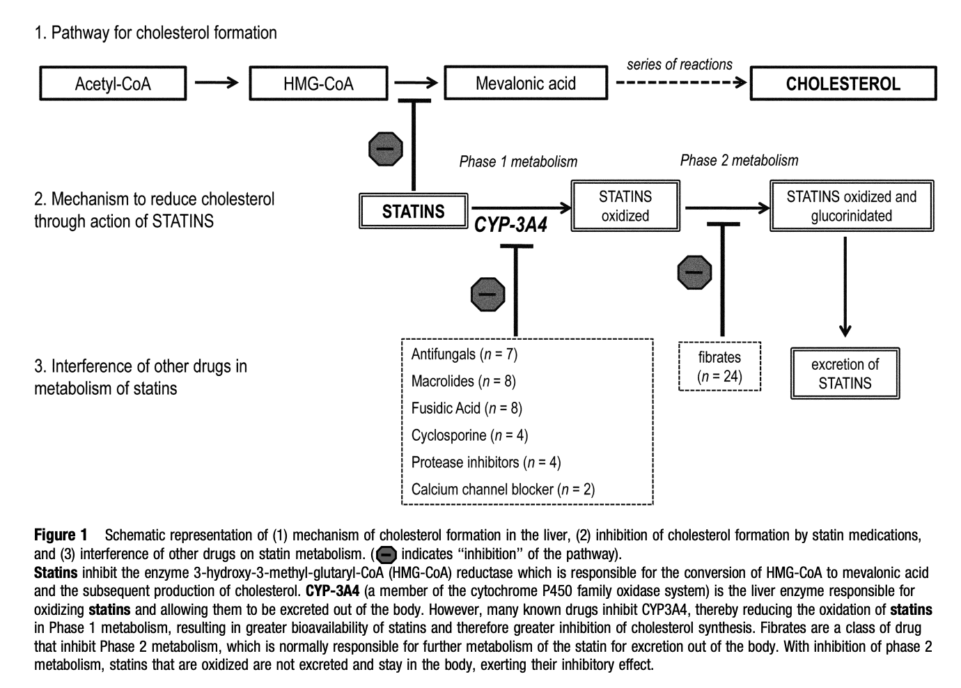 CrossFit | Statin-Induced Rhabdomyolysis: A Comprehensive Review of ...
