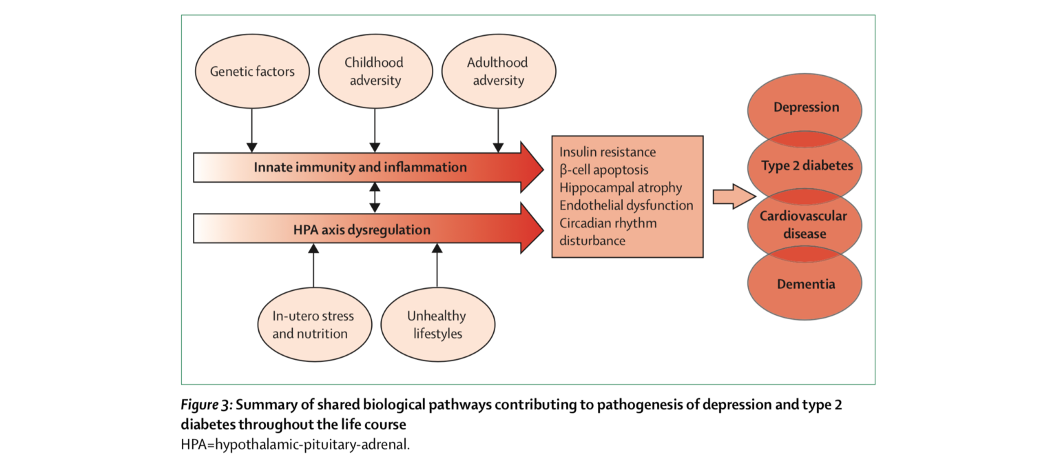 Crossfit The Link Between Depression And Diabetes The Search For The