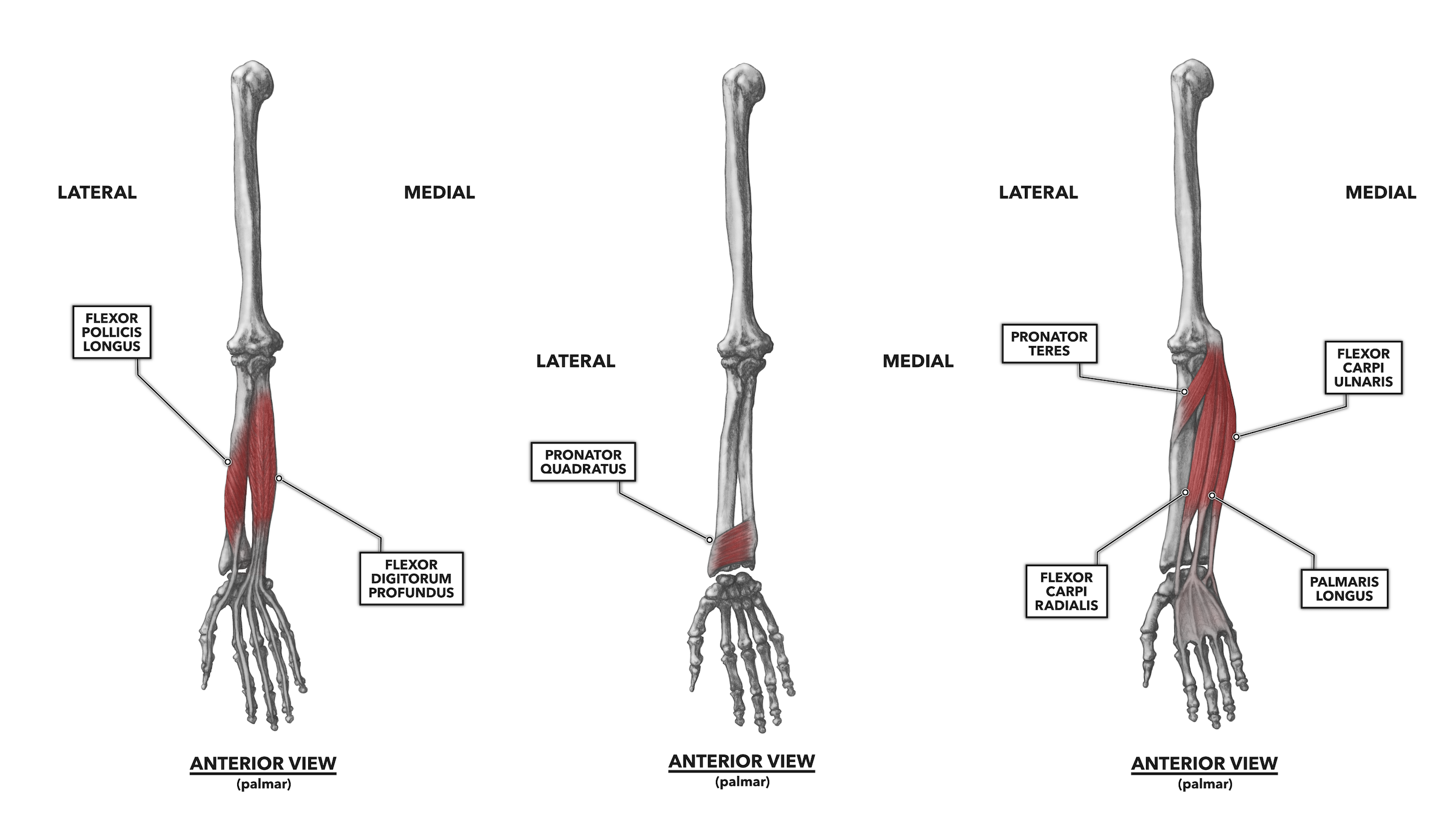 CrossFit | CrossFit.com - 200118