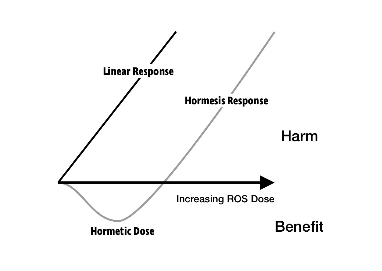 CrossFit | Why Antioxidant Supplements Don't Work, Part 2