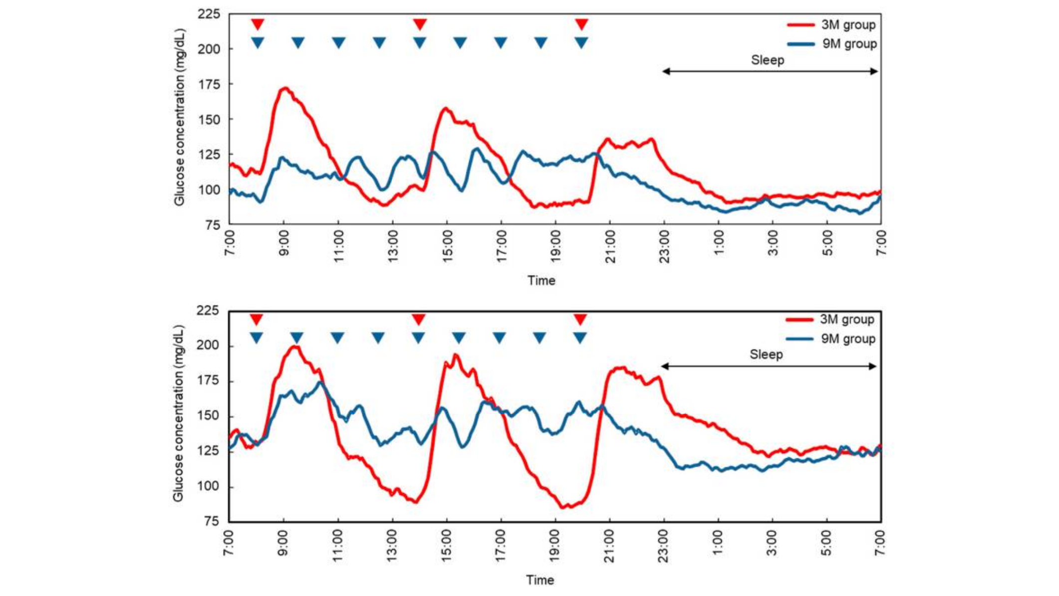 CrossFit | Meal Timing: Frequency