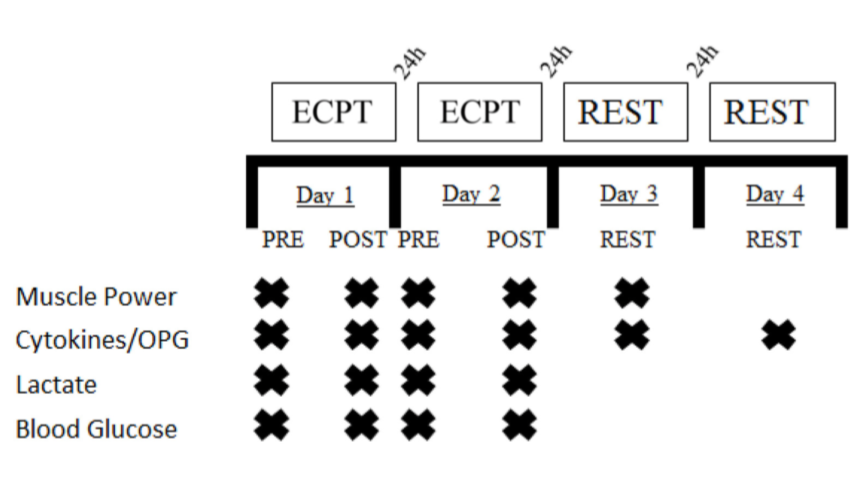 CrossFit | wo Consecutive Days of CrossFit Affects Inflammation Without ...