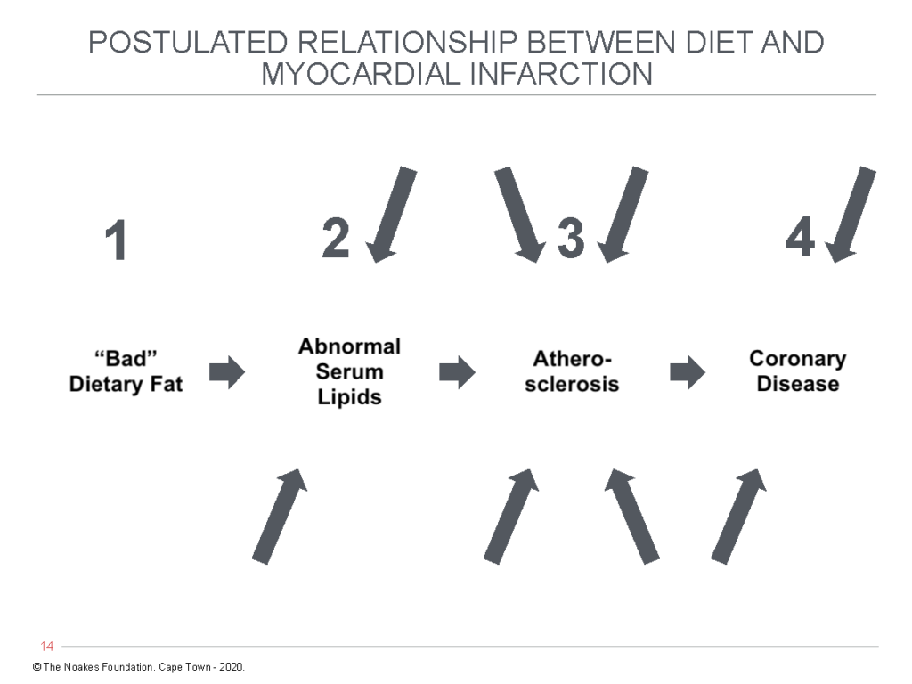 CrossFit | Ancel Keys' Cholesterol Con, Part 4