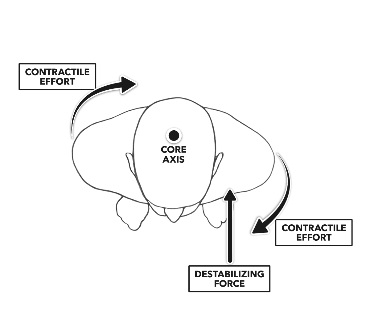 CrossFit | Midline Stability, Part 2: Power and Posture