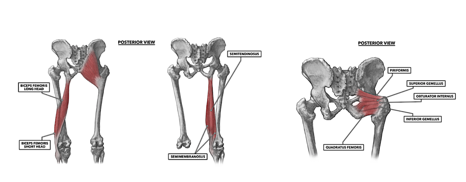 CrossFit | Midline Stability, Part 2: Power and Posture