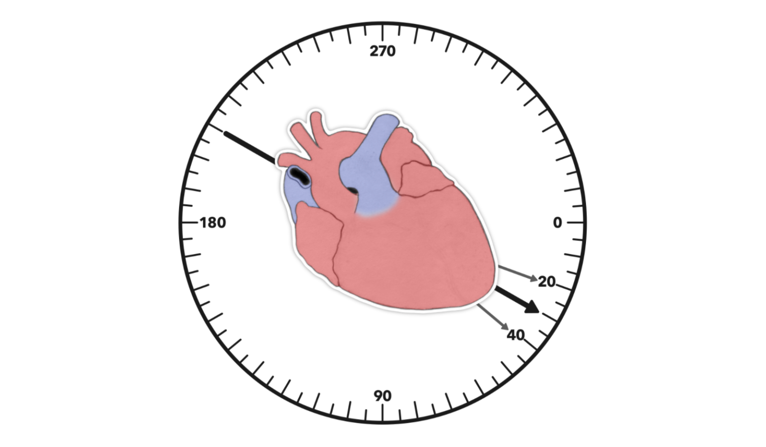CrossFit | The Heart, Part 1: Location & Orientation