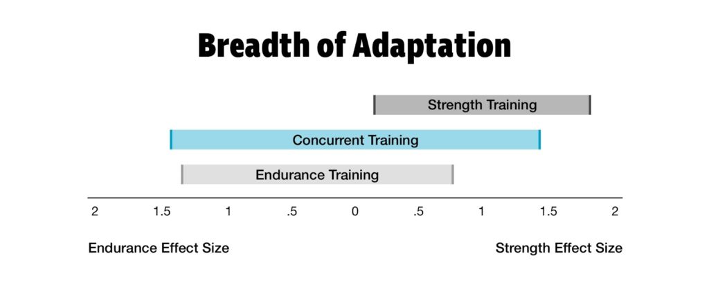 CrossFit | Make Every Calorie Count: Optimizing Adaptation