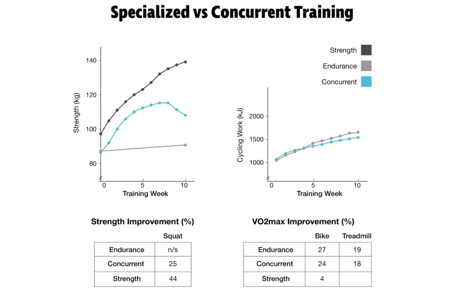 CrossFit | Make Every Calorie Count: Optimizing Adaptation