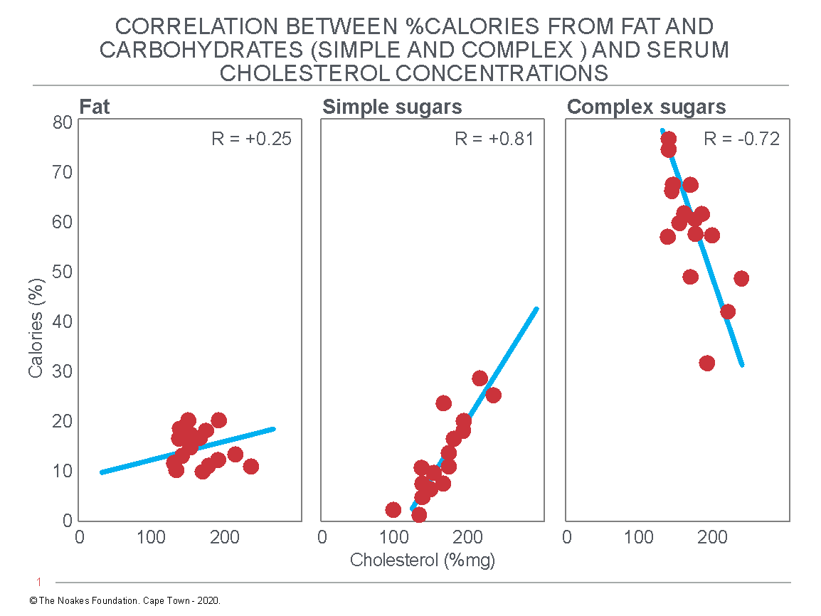 CrossFit | Ancel Keys' Cholesterol Con, Part 6