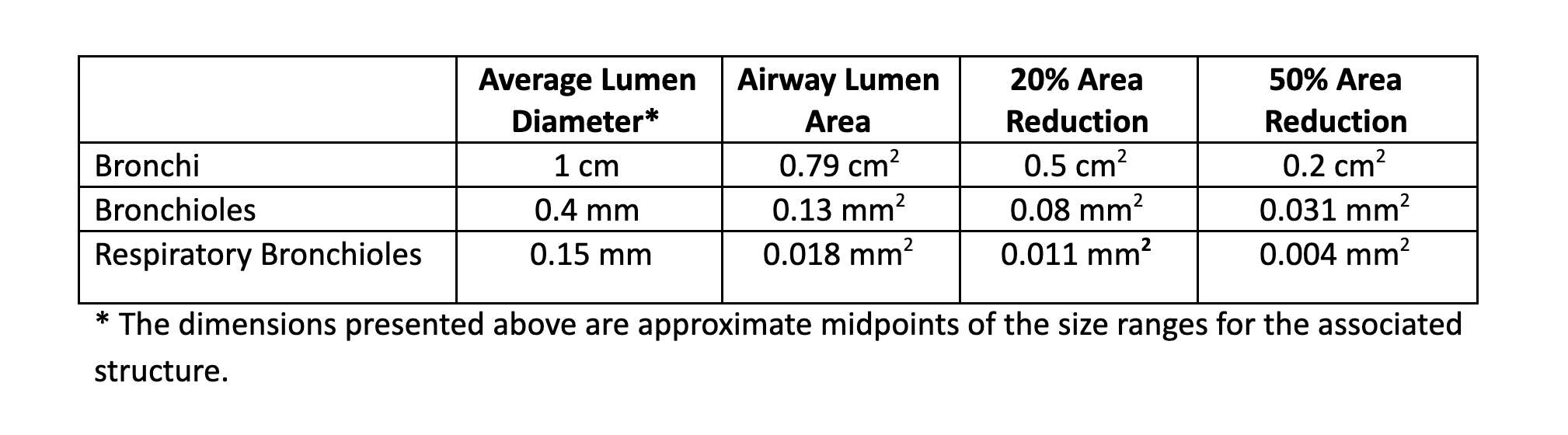 CrossFit | Lung Anatomy and Physiology: Asthma