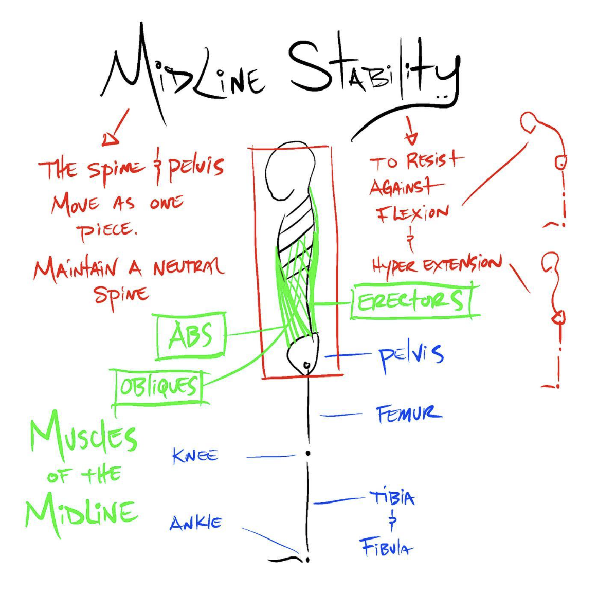 CrossFit | CrossFit Common Movement Themes Series Part 2 - Midline ...
