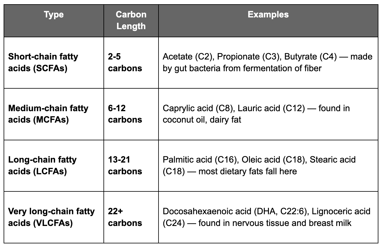 CrossFit | NUTRITION 101: Part 4 - Fat